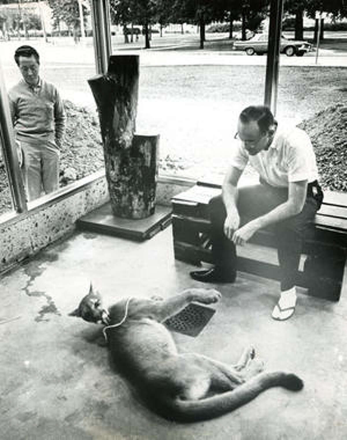 Once an orphan, UH mascot Shasta VI is ready to party