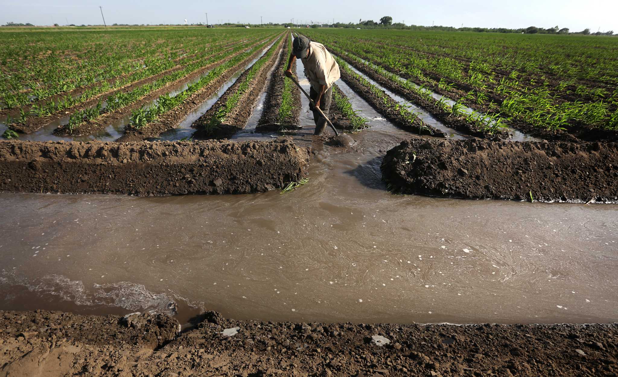 Drought takes big toll on dryland farmers
