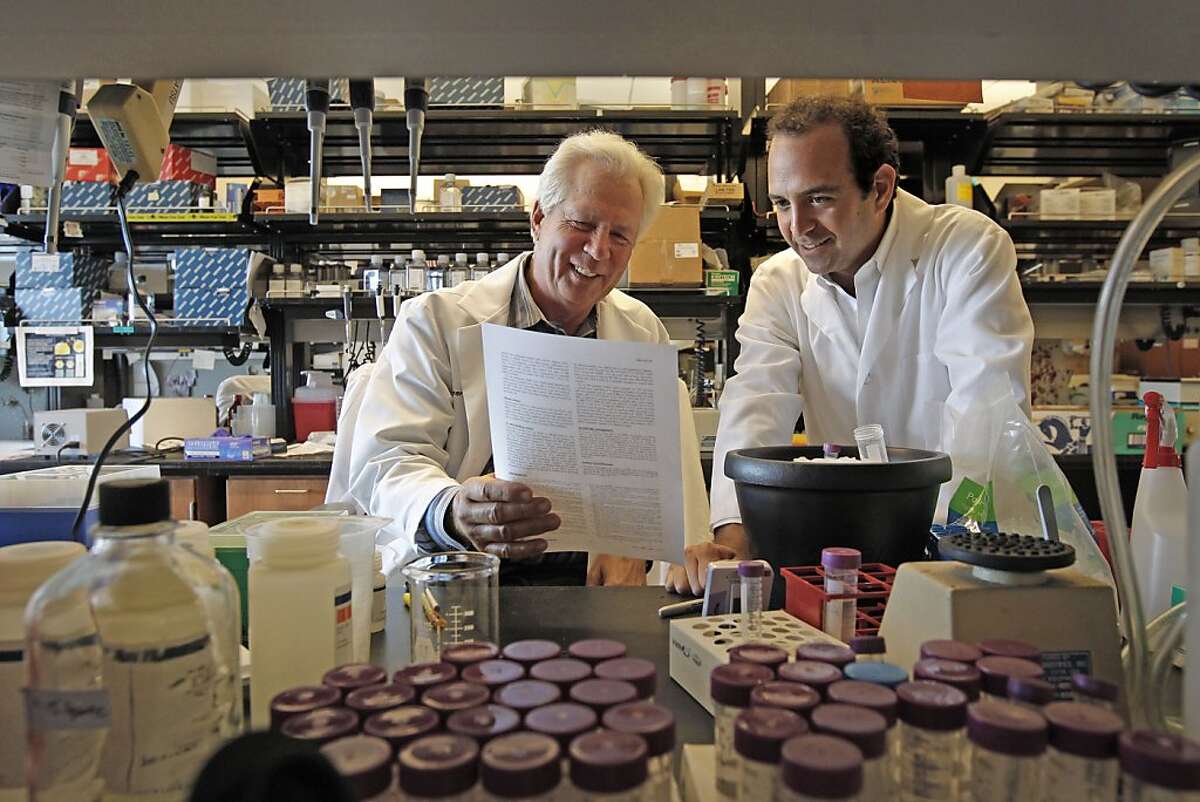 Isolated cases raise hopes of cure for HIV