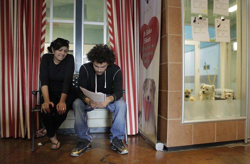 S.F. SPCA celebrates 145 years of animal attraction