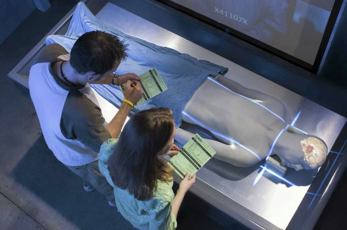 'CSI: The Experience'