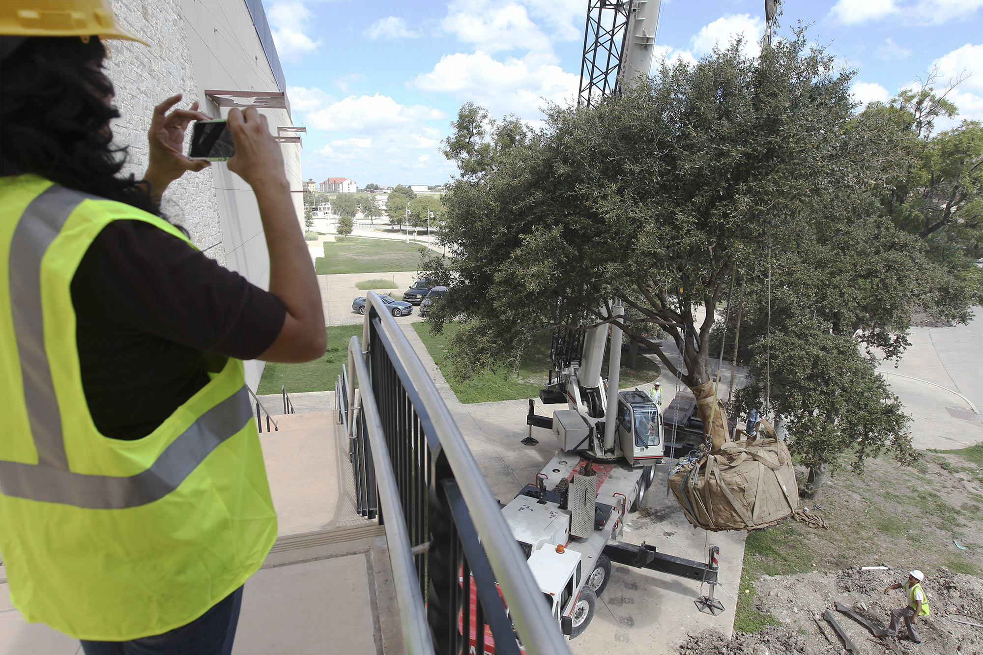 Massive tree rescue nearing end at Convention Center site