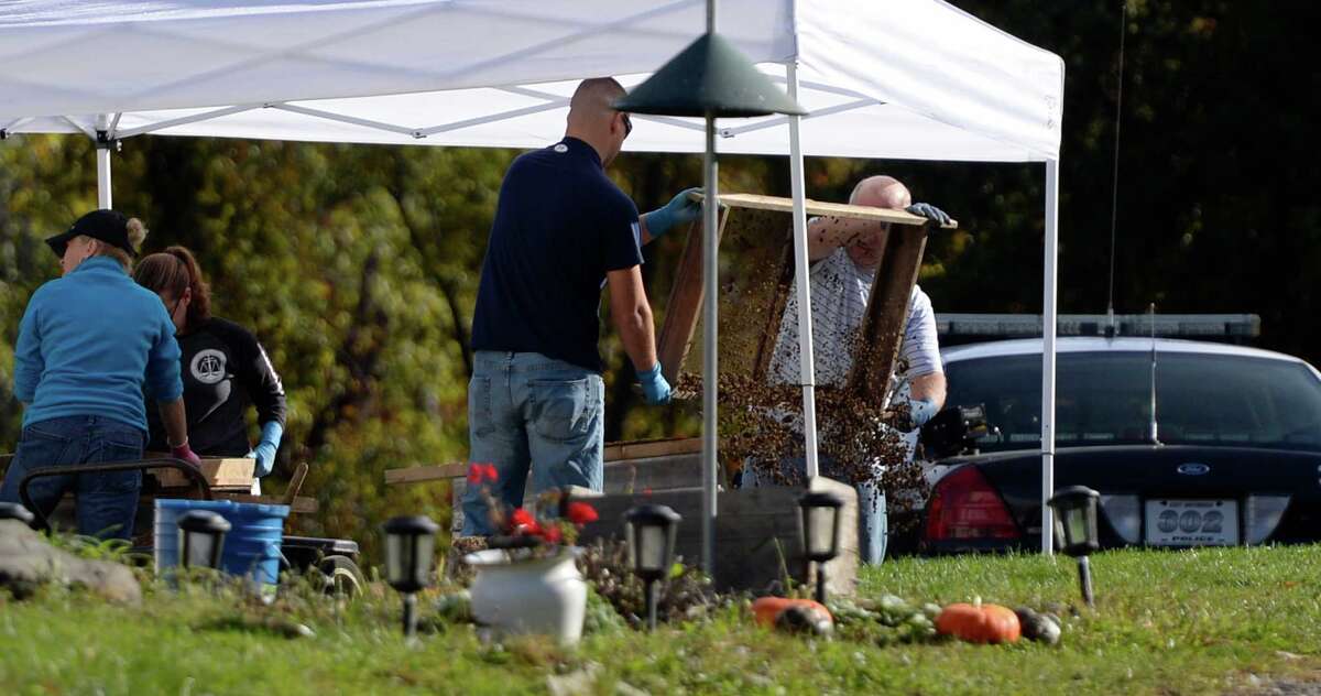 Plot thickens, melts away