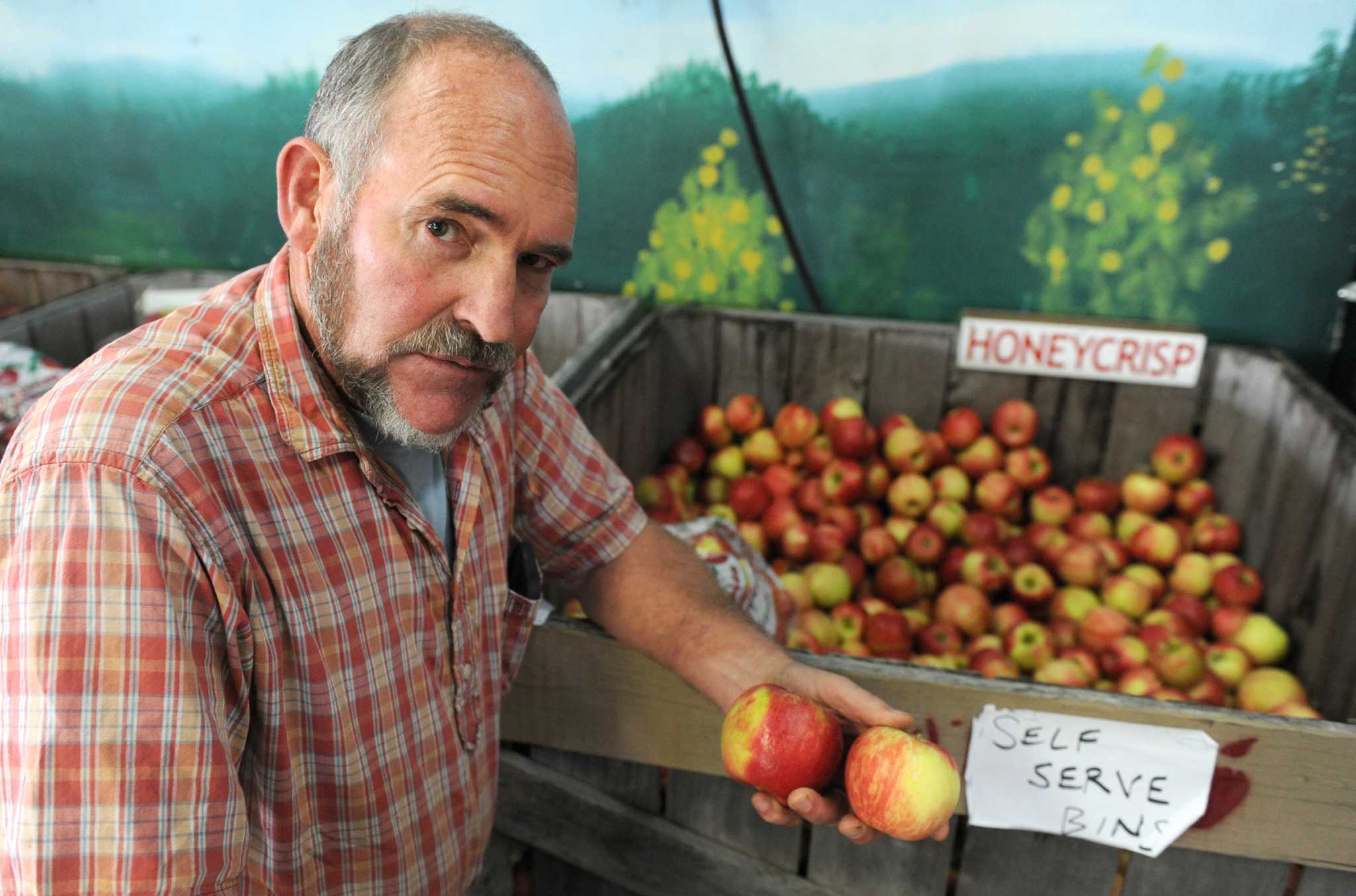 Recovery's elusive fruits