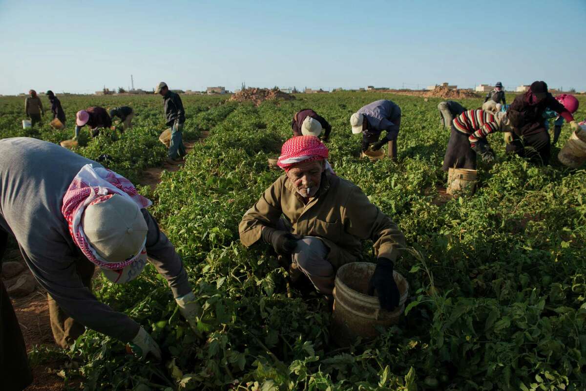 As Syrian refugees develop roots, Jordan grows wary