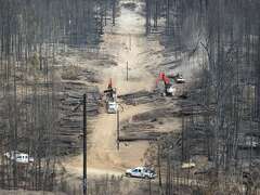 Revival already under way in Rim Fire burn zone