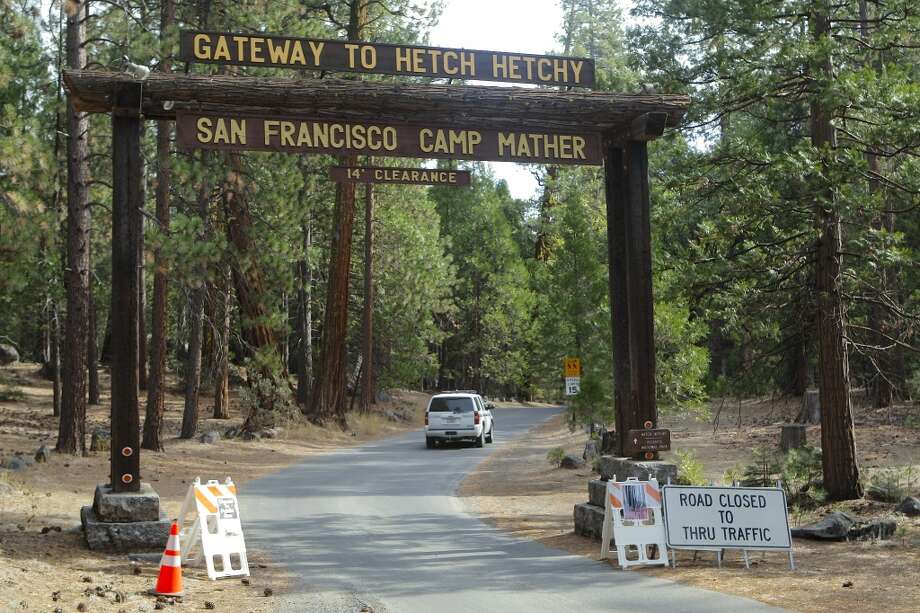 Revival already under way in Rim Fire burn zone - SFGate