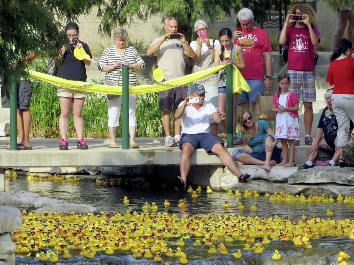Duck race for charity slow family fun