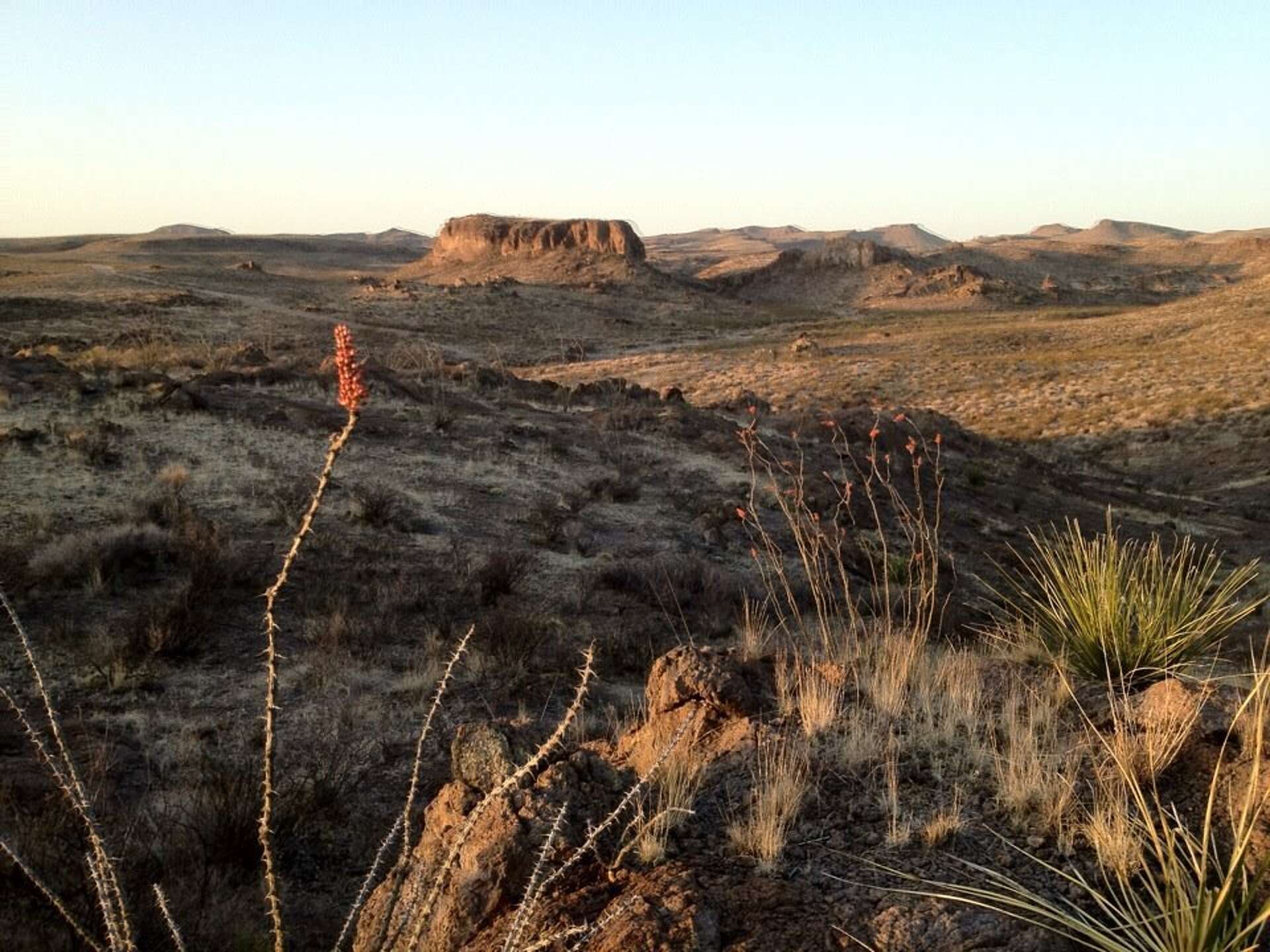 Couple has near-fatal 4-day hike after getting kicked out of Big Bend
