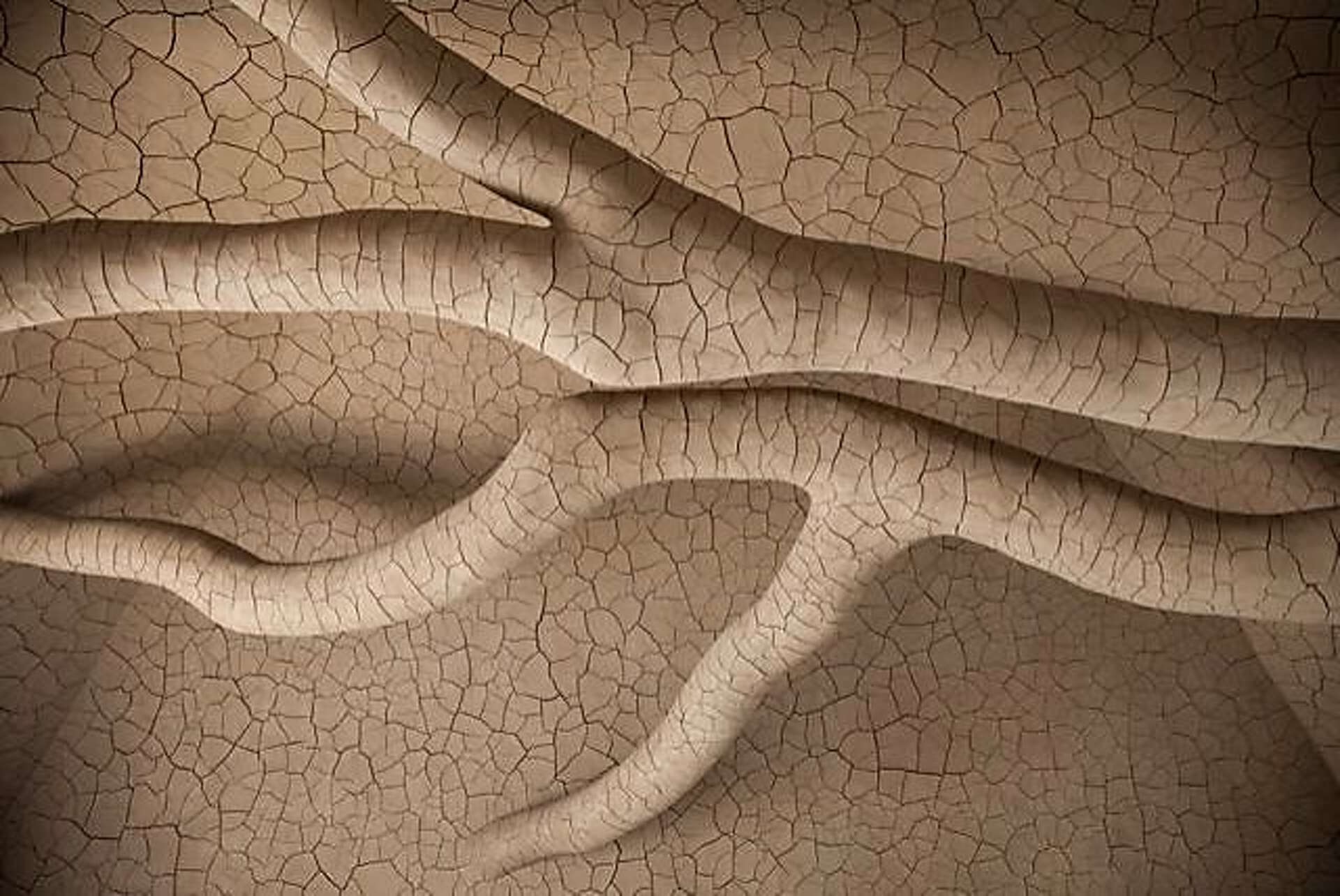 Sculptor Andy Goldsworthy enlists felled tree