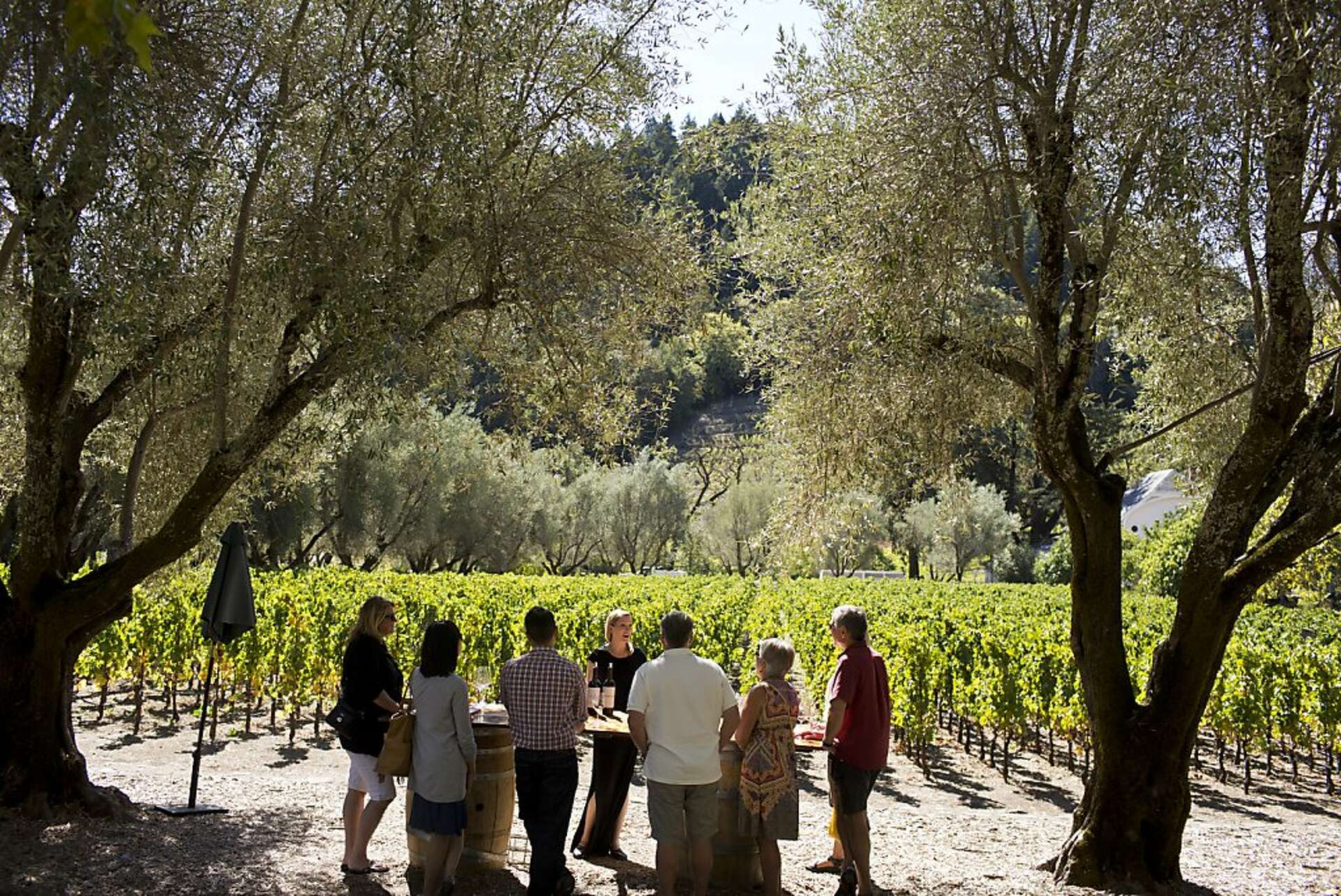 Napa vineyards offer detailed look at winemaking