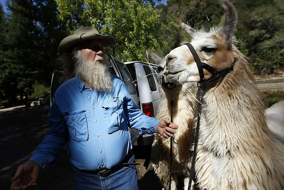 Spreading the love of llamas, from parks to Peru