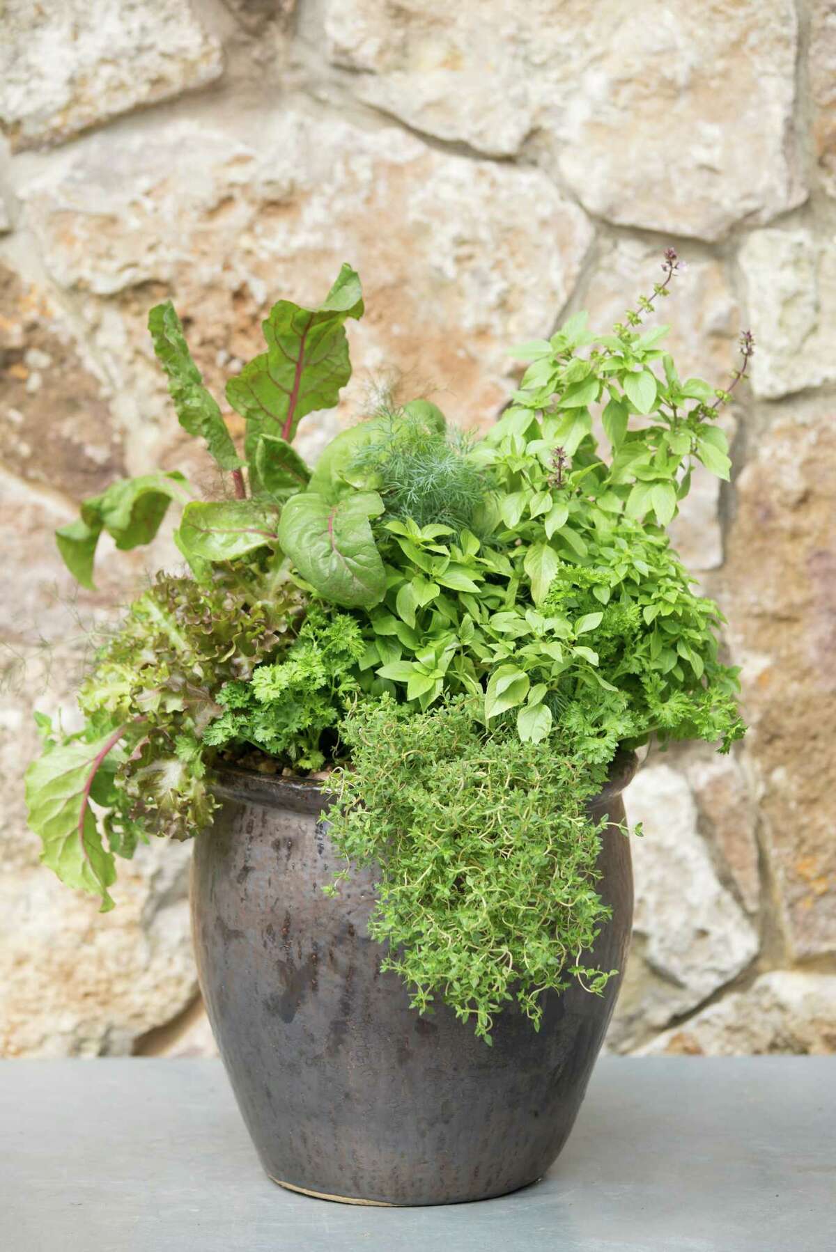 Flavor your fall with herb containers