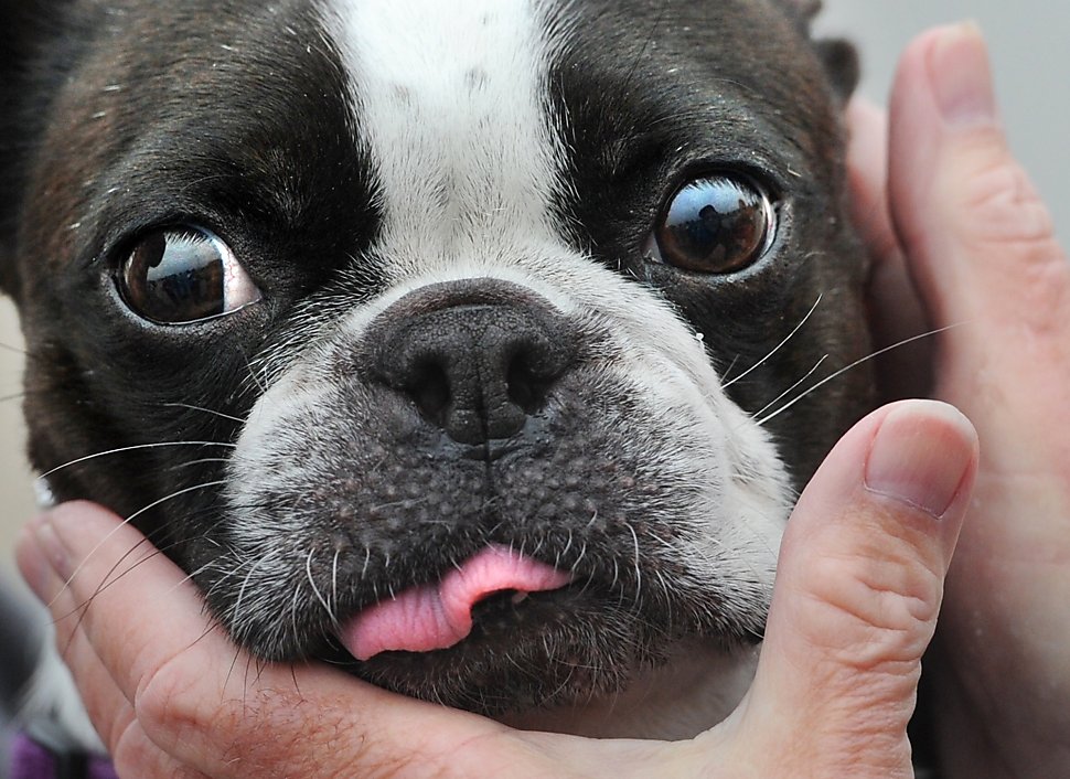 Day in Pictures, Oct. 11, 2013