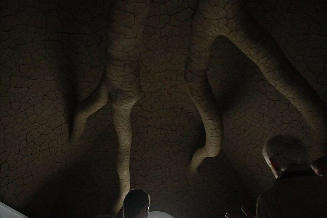 Sculptor Andy Goldsworthy enlists felled tree