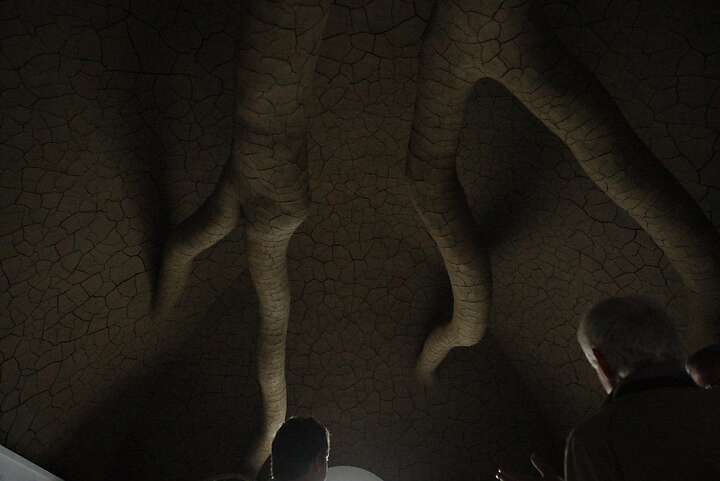 Sculptor Andy Goldsworthy enlists felled tree