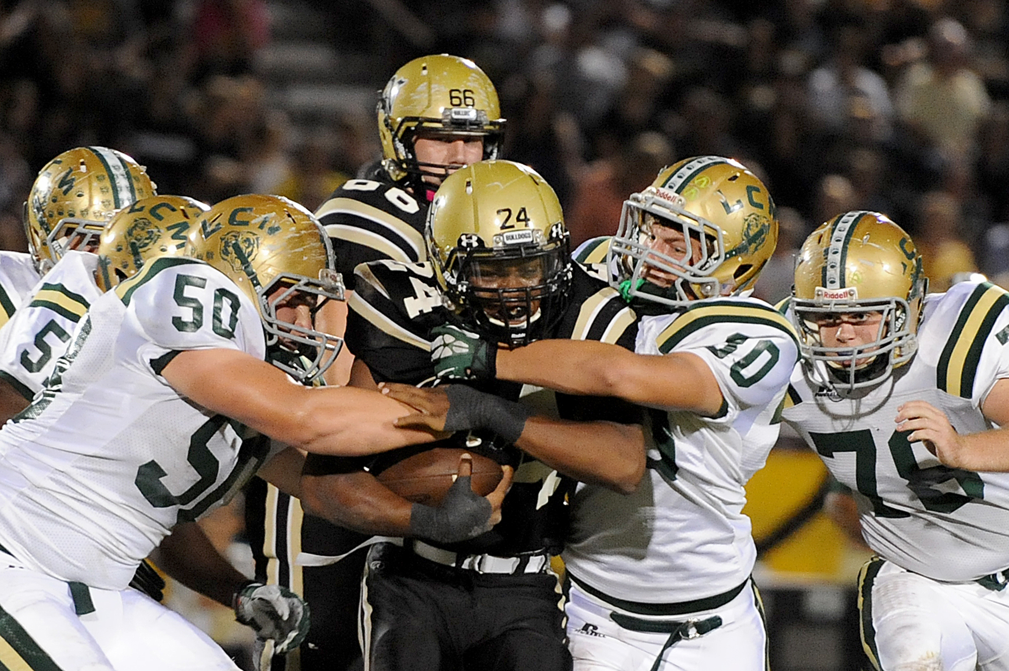 Nederland survives LC-M