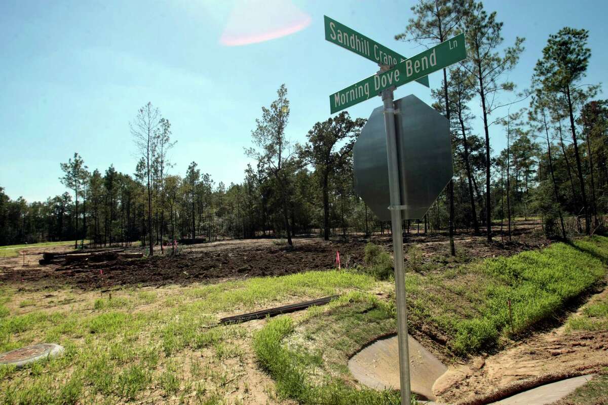 Springwoods Village nears 'watershed' moment