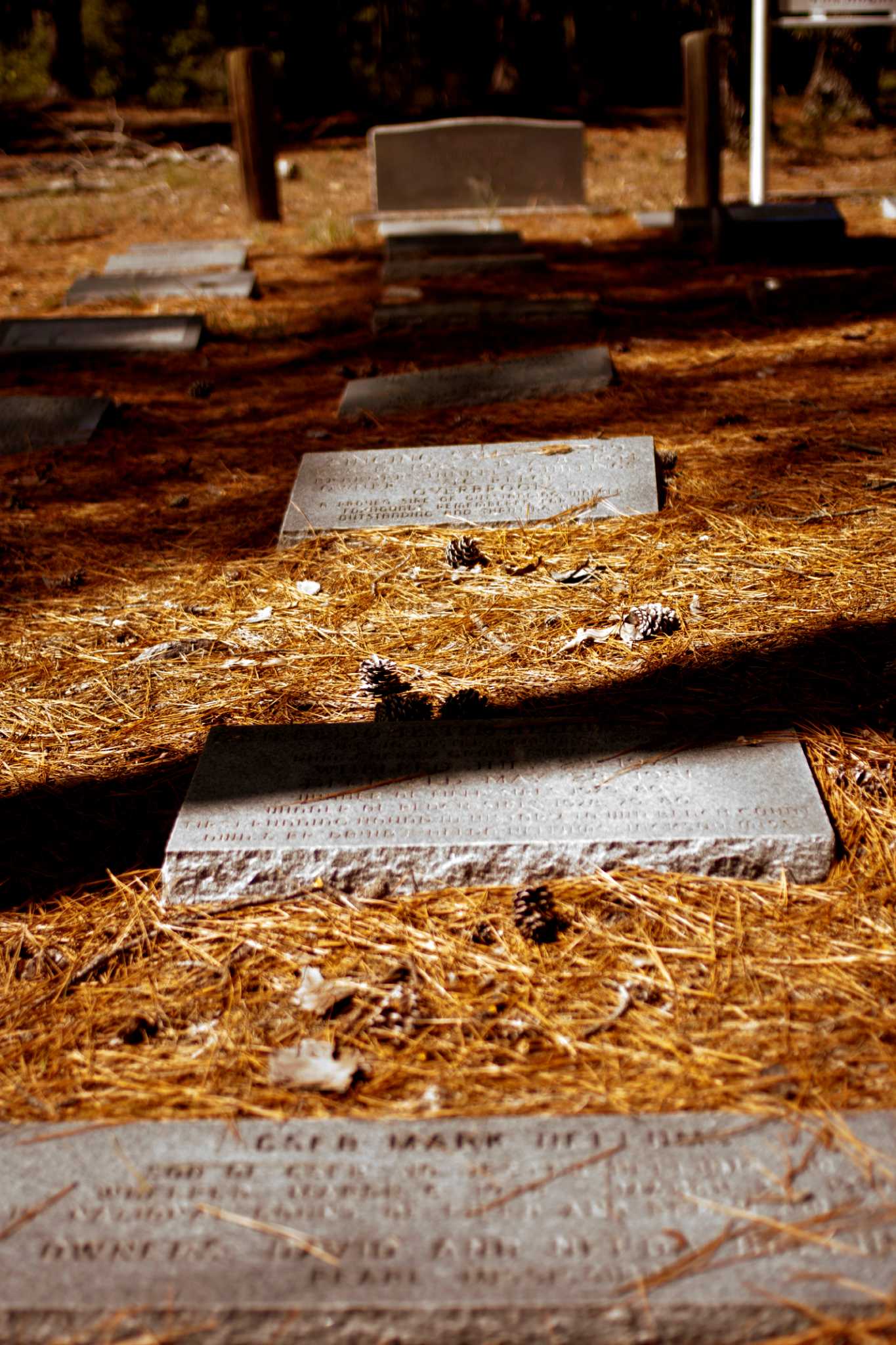 Dog Cemetery Honors Folk Tradition dog-cemetery-honors-folk-tradition