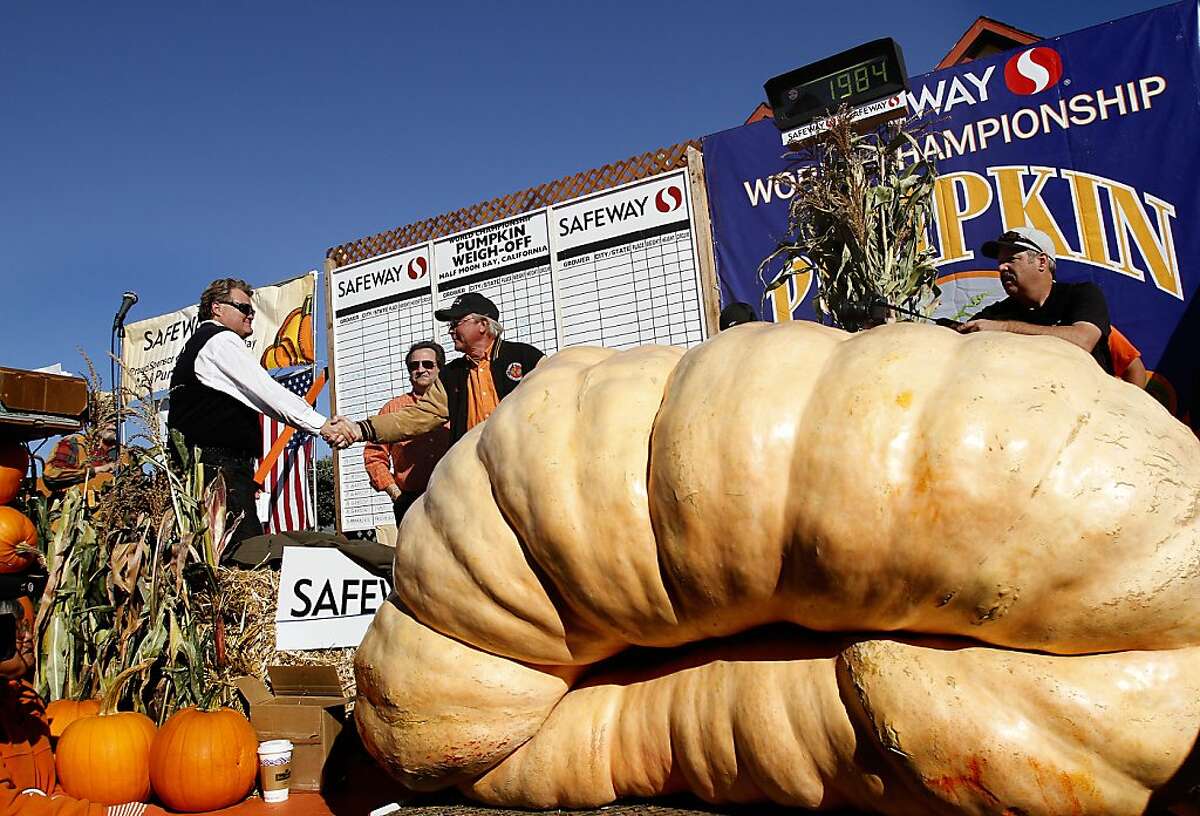 The 2013 Half Moon Bay giant pumpkin weigh-off