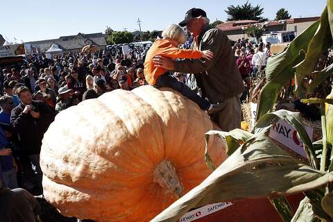 The 2013 Half Moon Bay giant pumpkin weigh-off