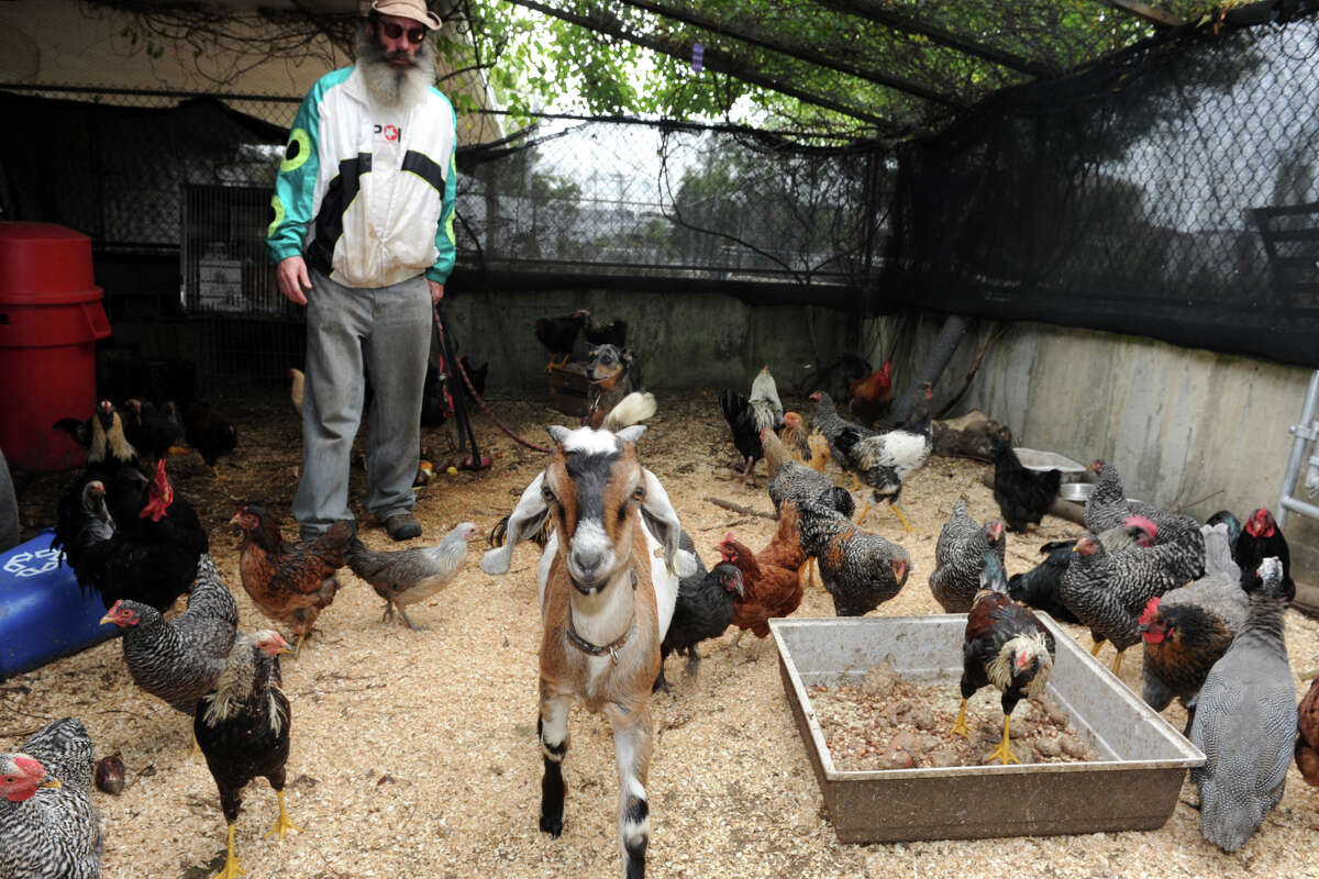 State to inspect farm of 'chicken man'