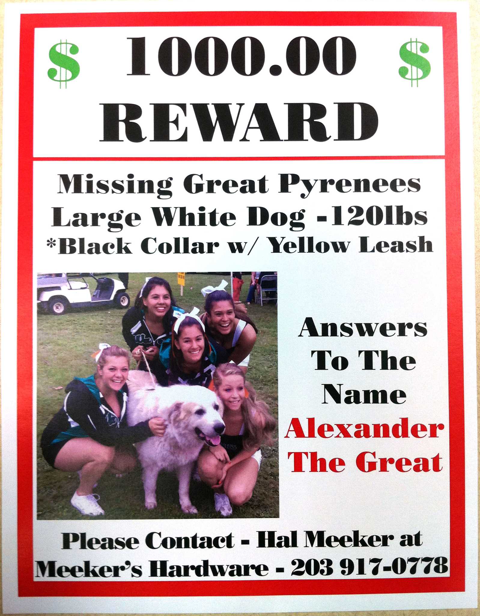 Owner offers $1,000 reward for missing dog