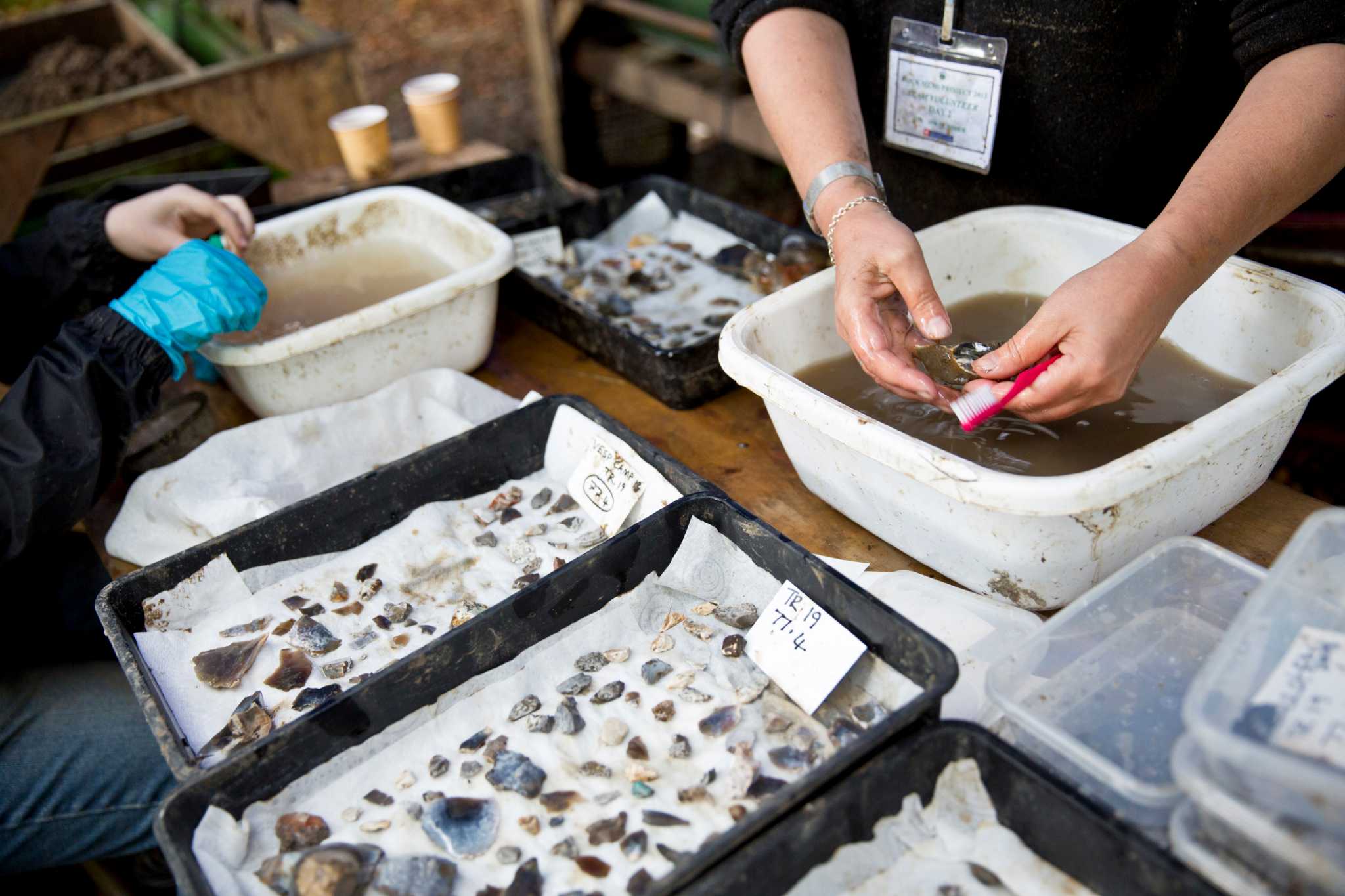 Evidence suggests early Britons ate roasted toads