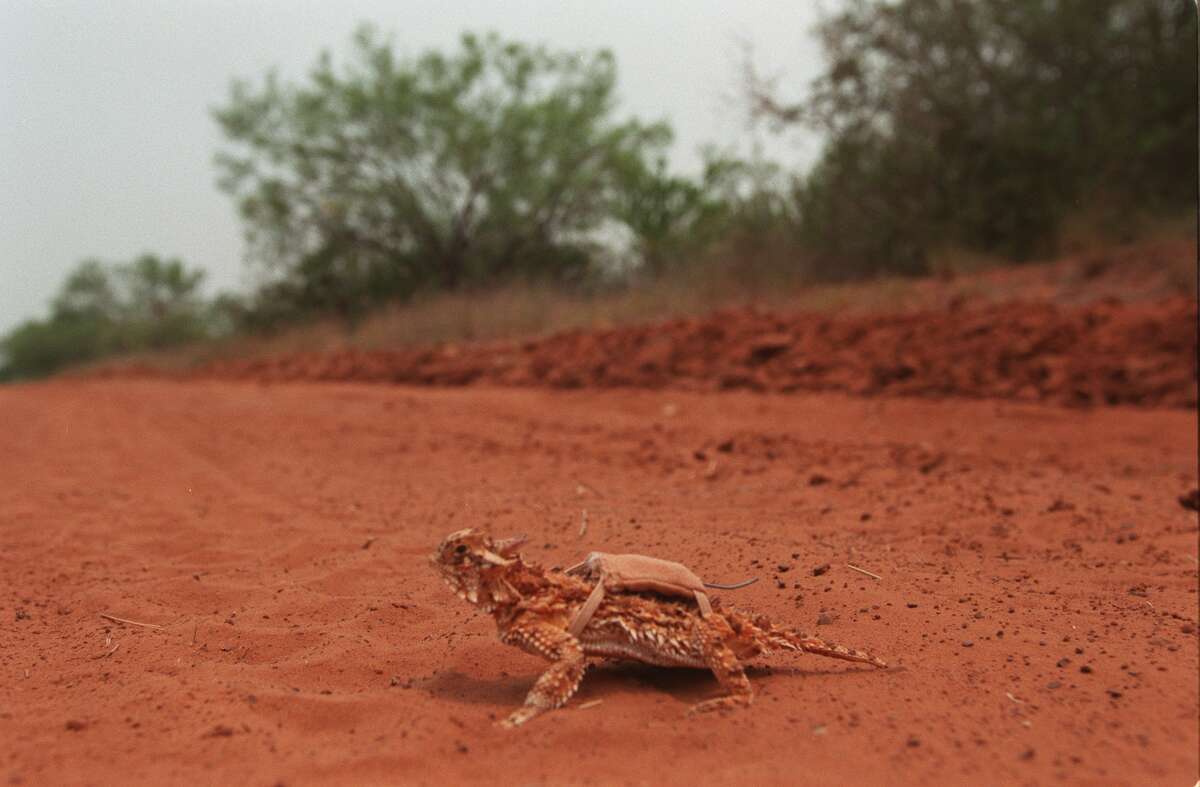 The 7 best parks to camp near Houston