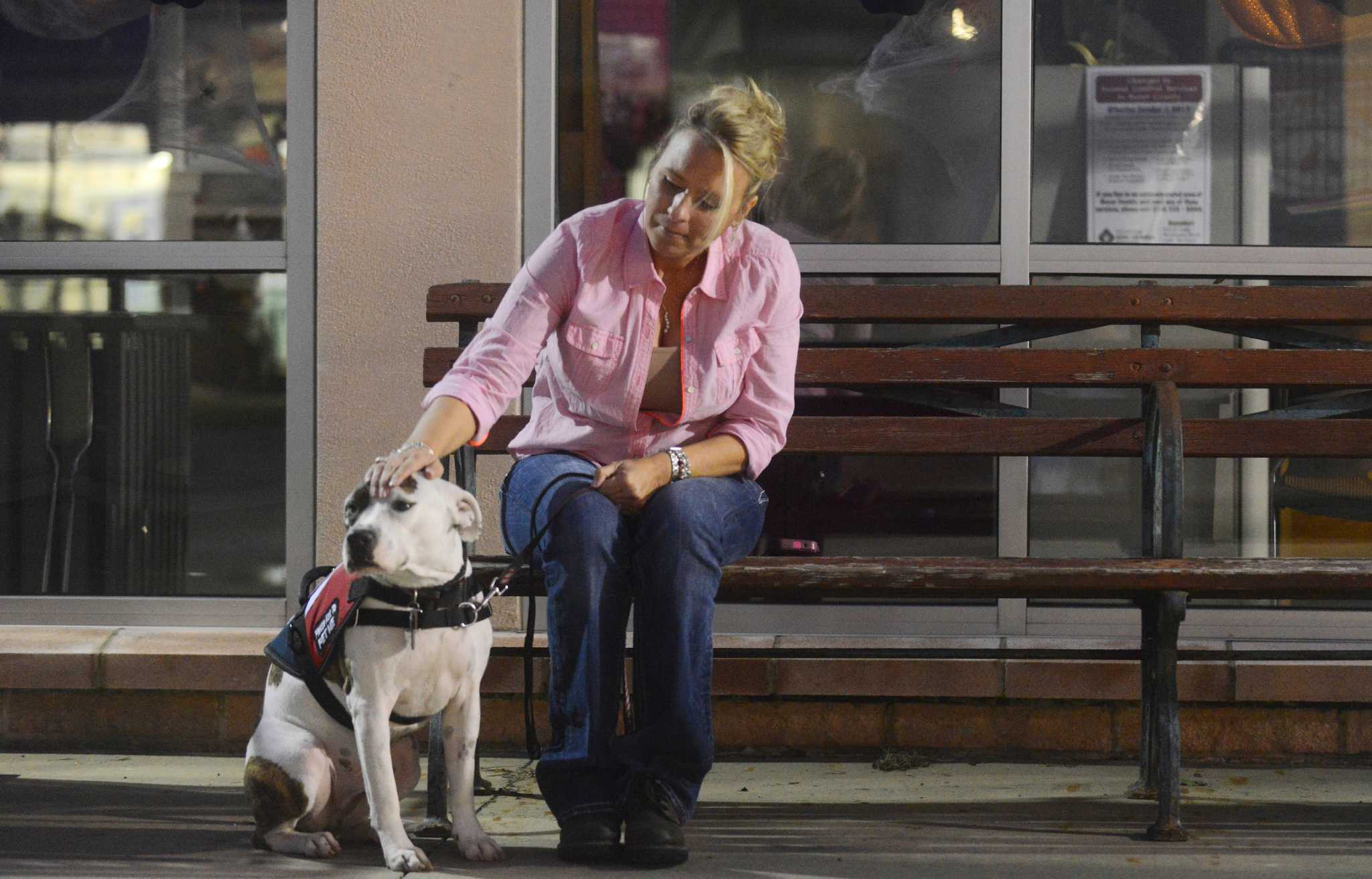 Dogs in service for PTSD sufferers