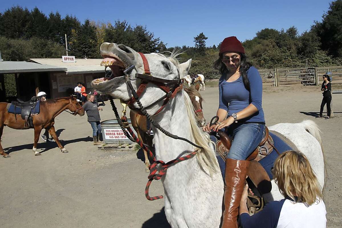 Bay Area's national park crews, visitors relieved
