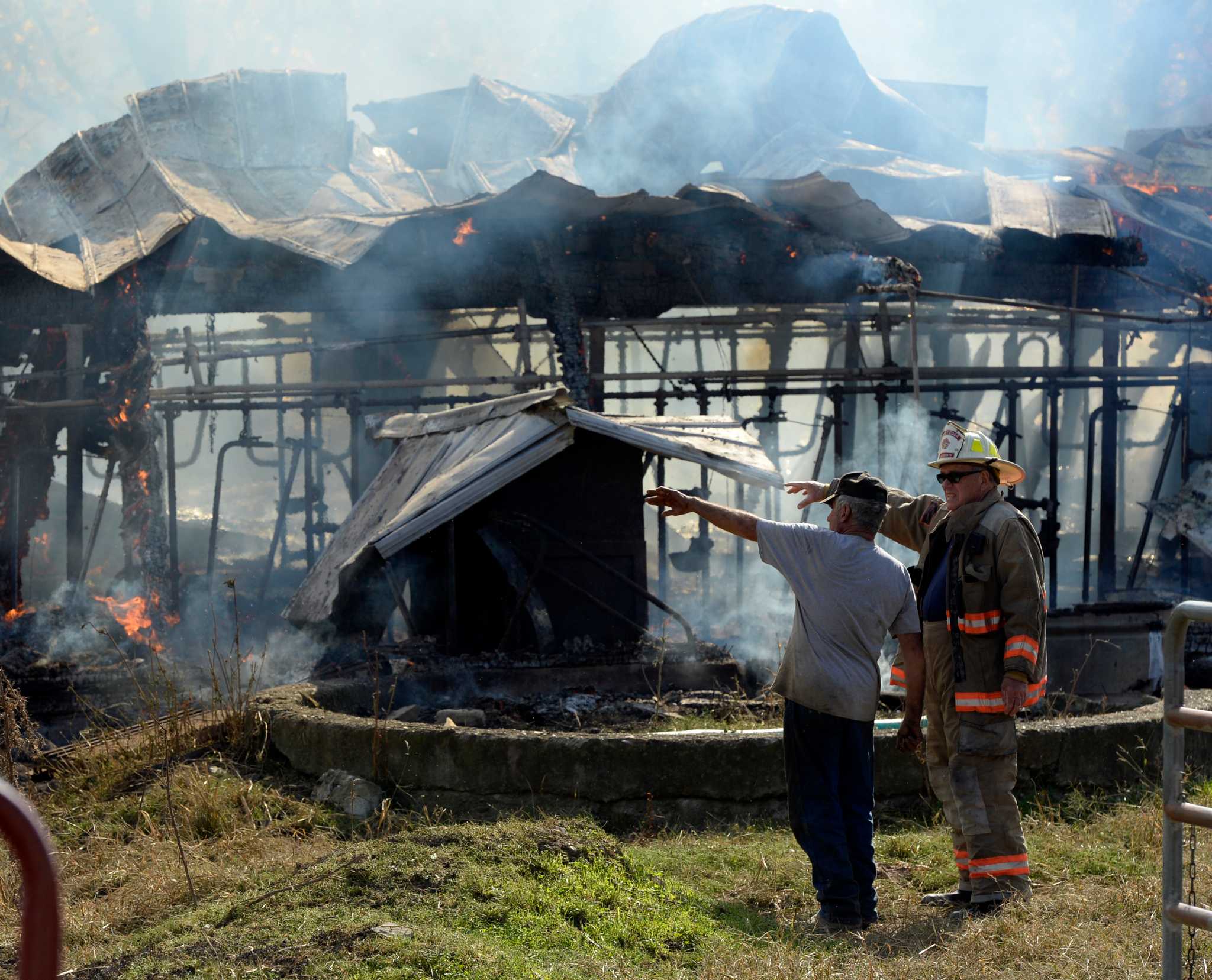 Blaze consumes barns, cows