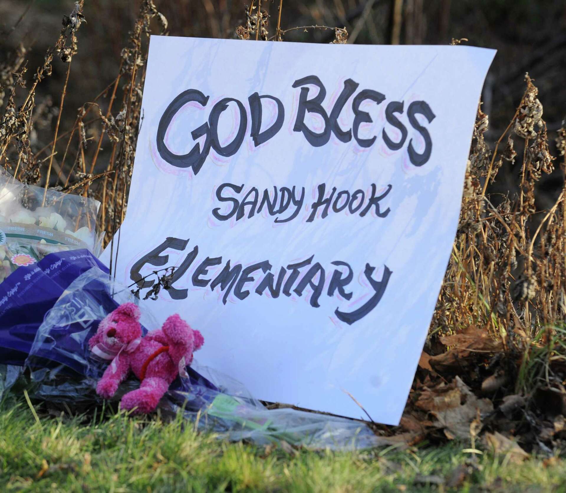 Sandy Hook shooting details released amid criticism