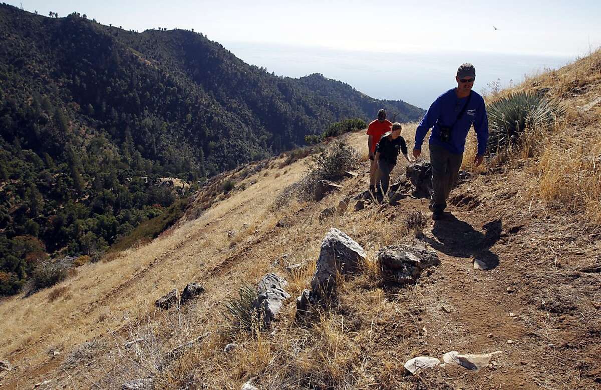 Scientists fight to save condors from lead bullets
