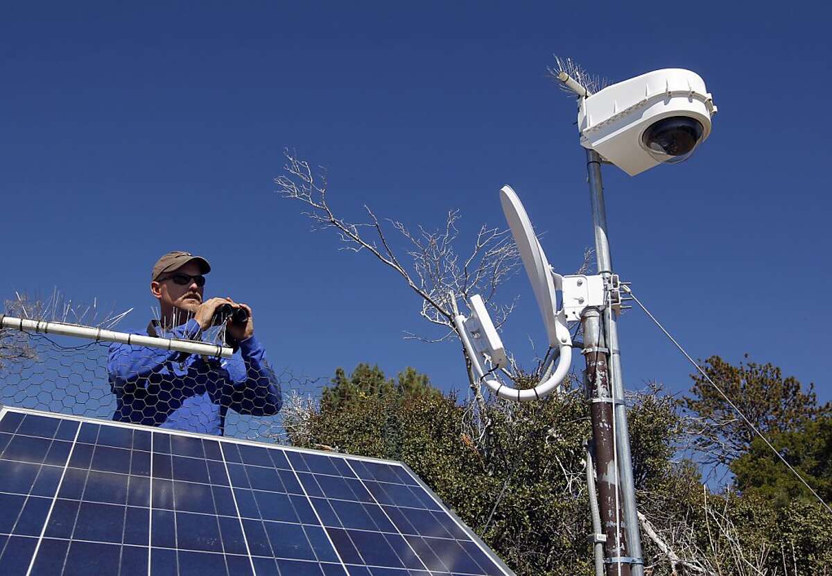 Scientists fight to save condors from lead bullets