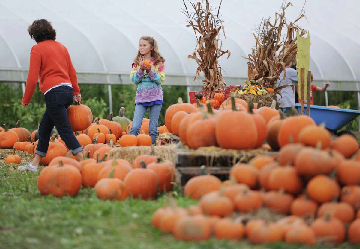 Fall fun at Castle Hill Farm