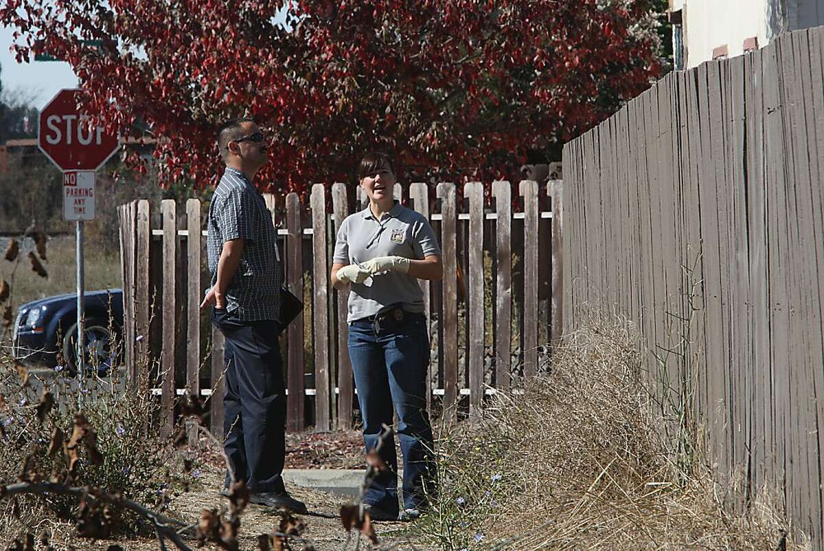 Friends question killing of boy who had fake rifle