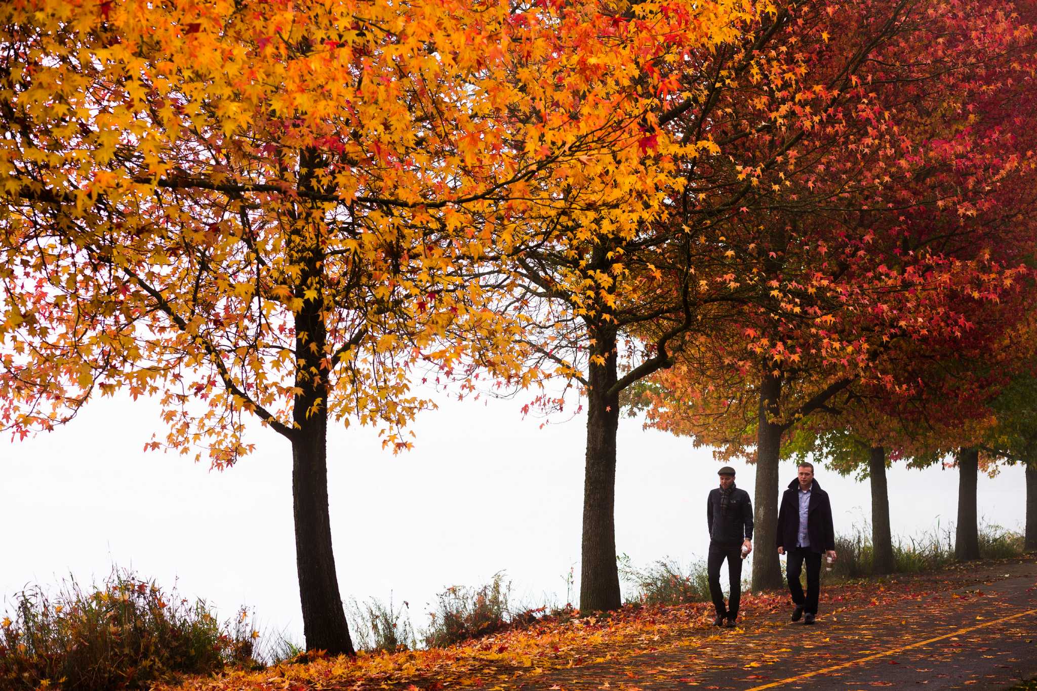 First day of autumn: 7 of Seattle's best parks and trails to see fall ...