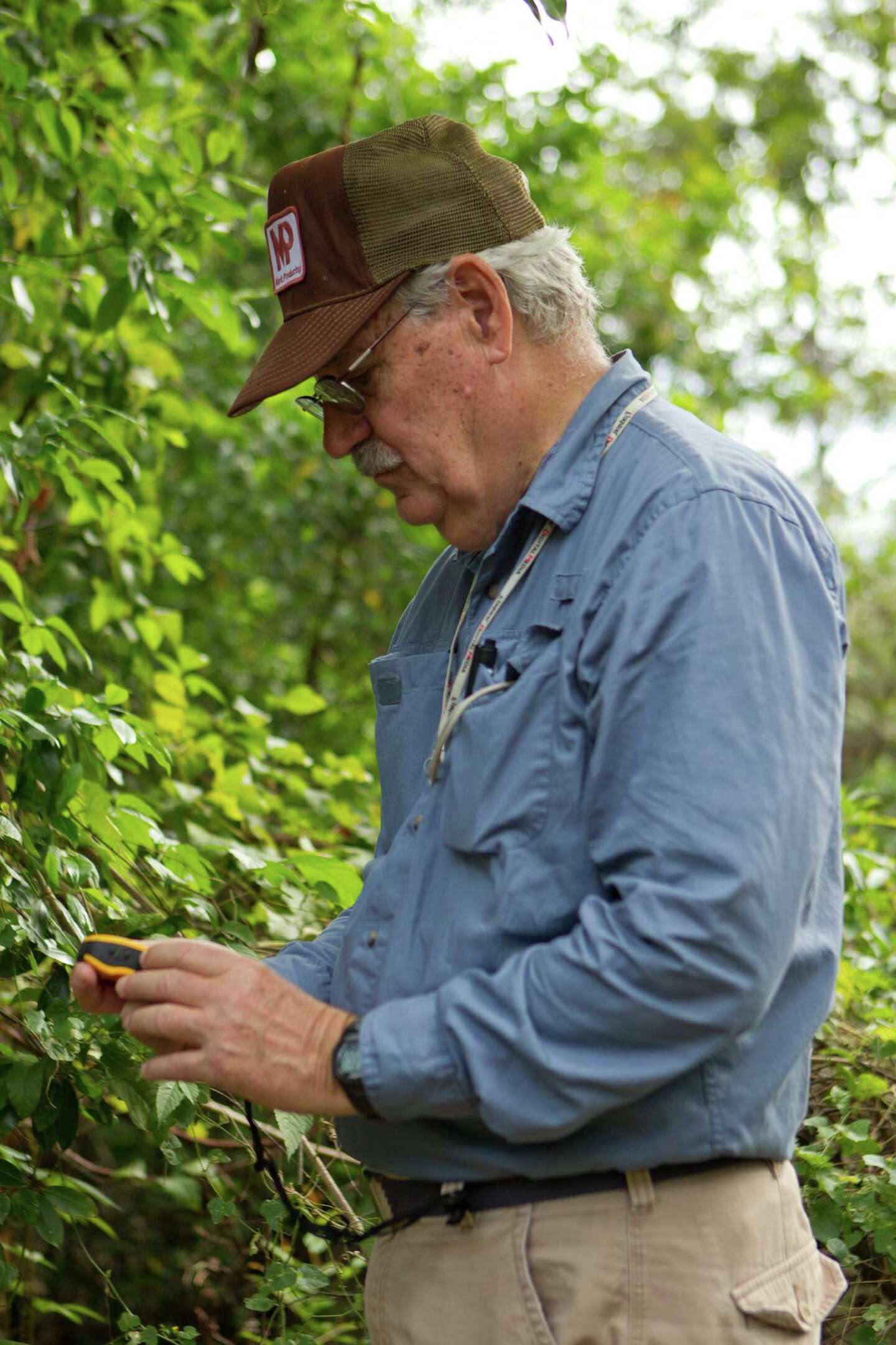 Remember Camp Logan?