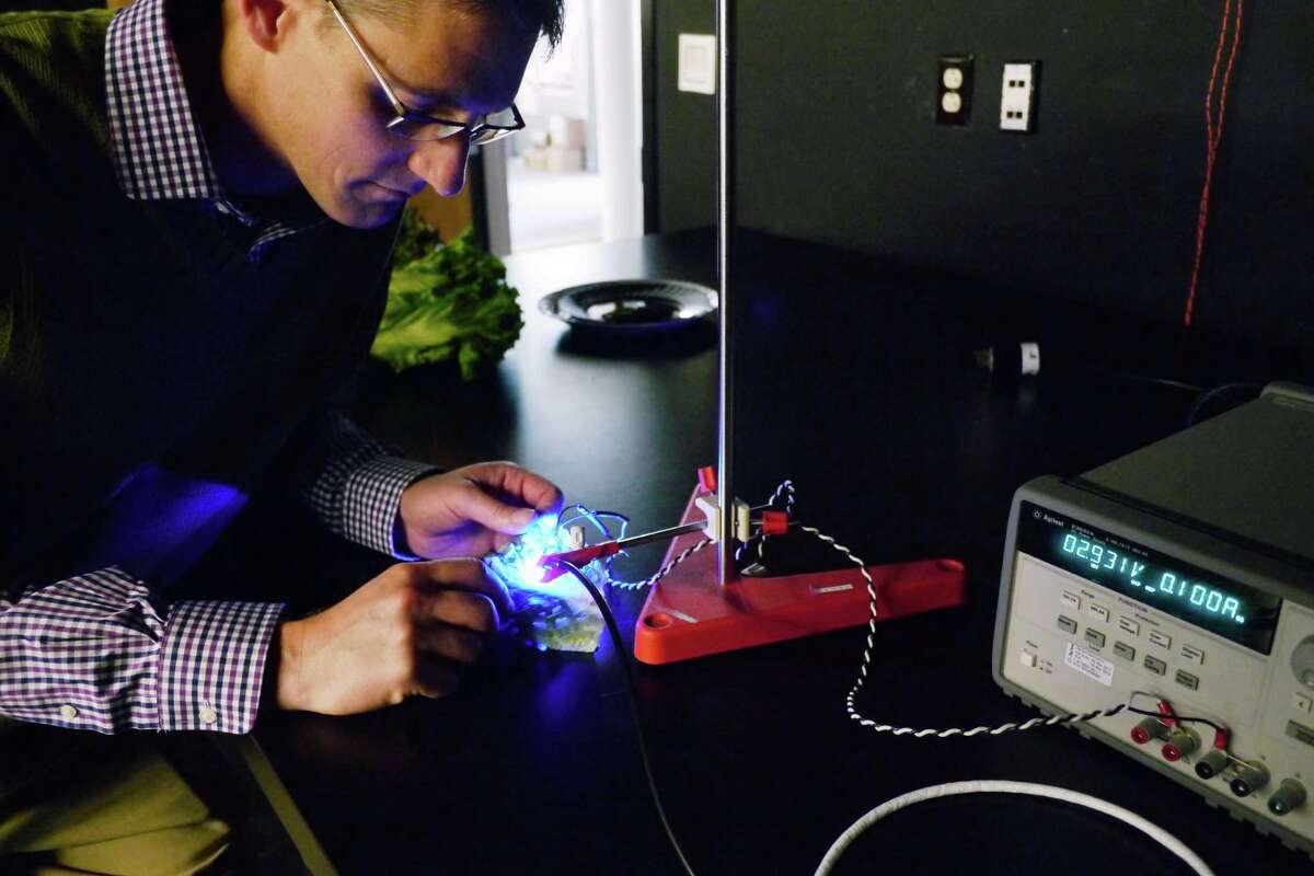 Shedding lab light on plant growth