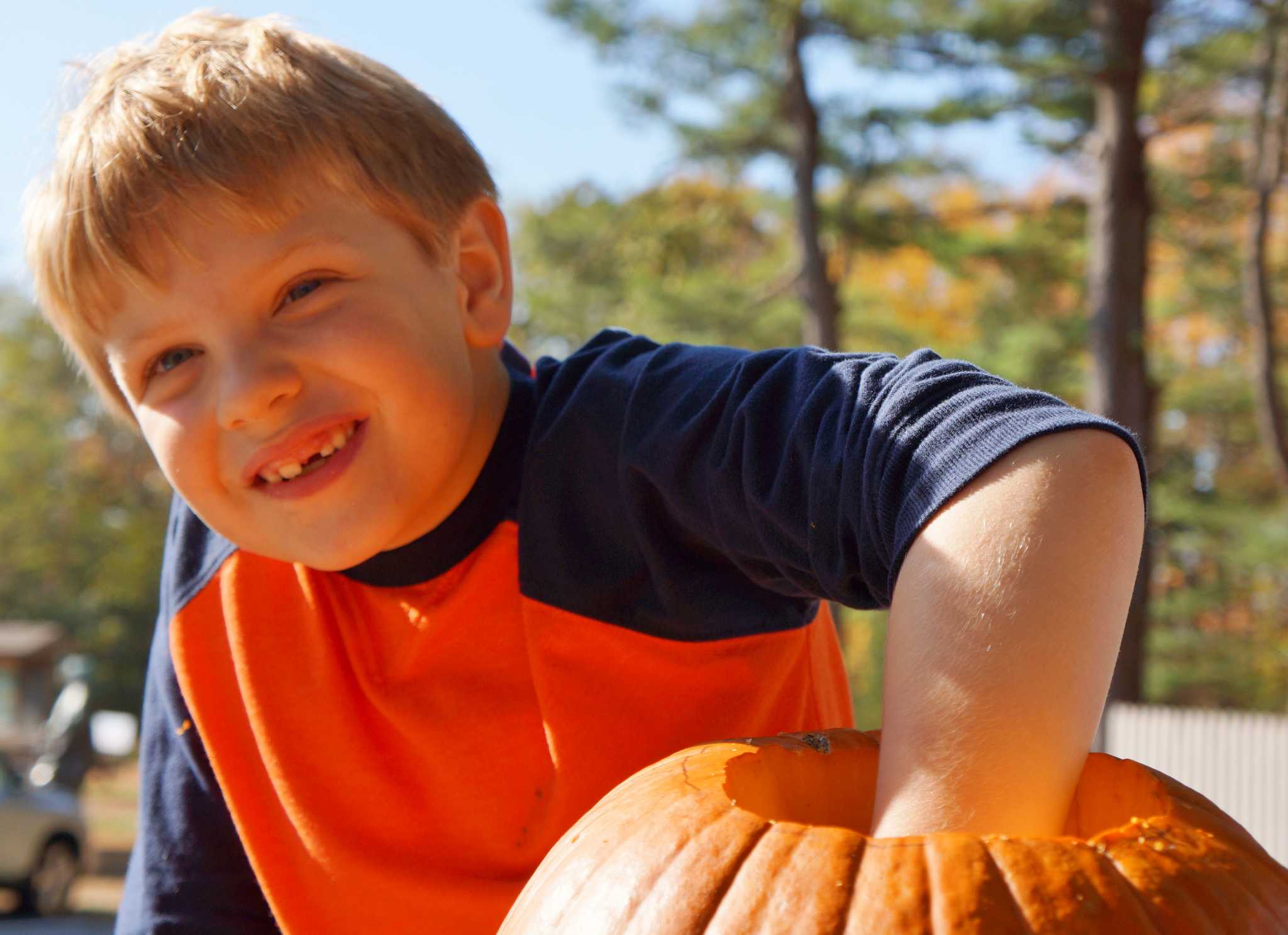 Carving out Halloween fun: Jack o' lanterns take shape at Earthplace