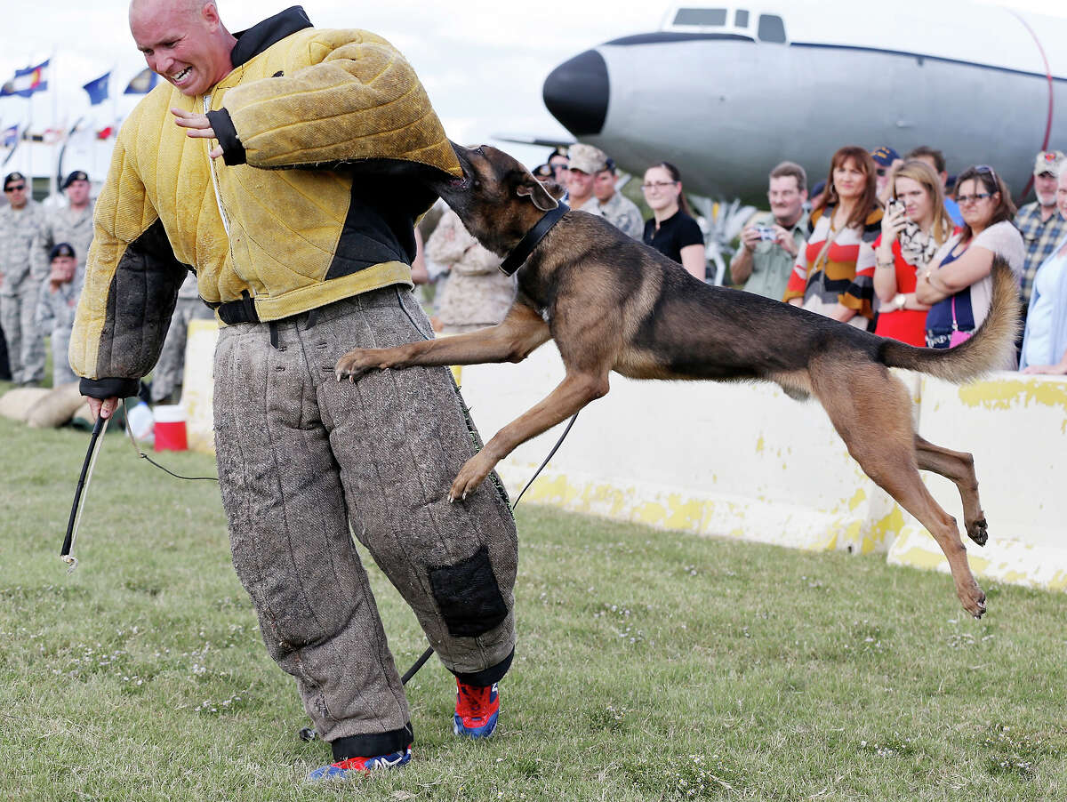 Monument to working military dogs unveiled