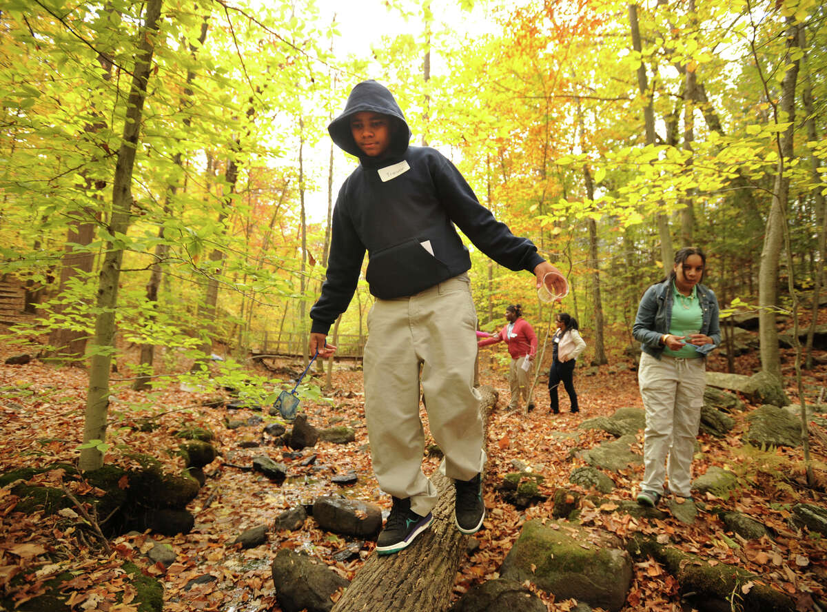Audubon teaches students field biology
