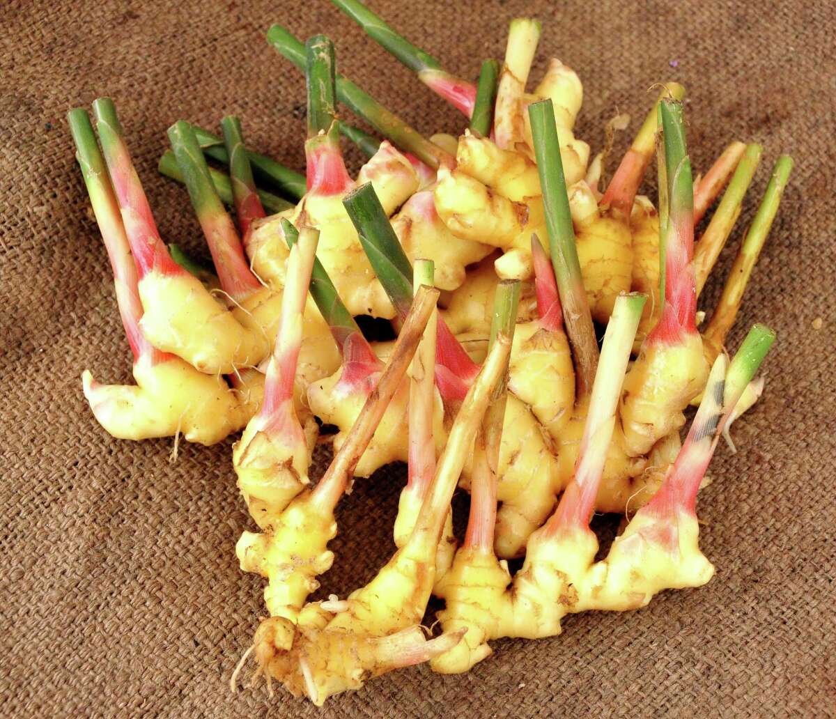 This ginger has some local roots