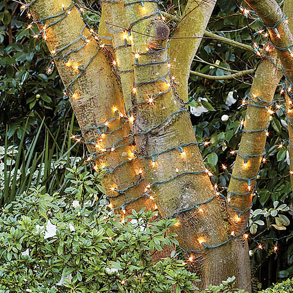 22 ways to stay cozy this winter