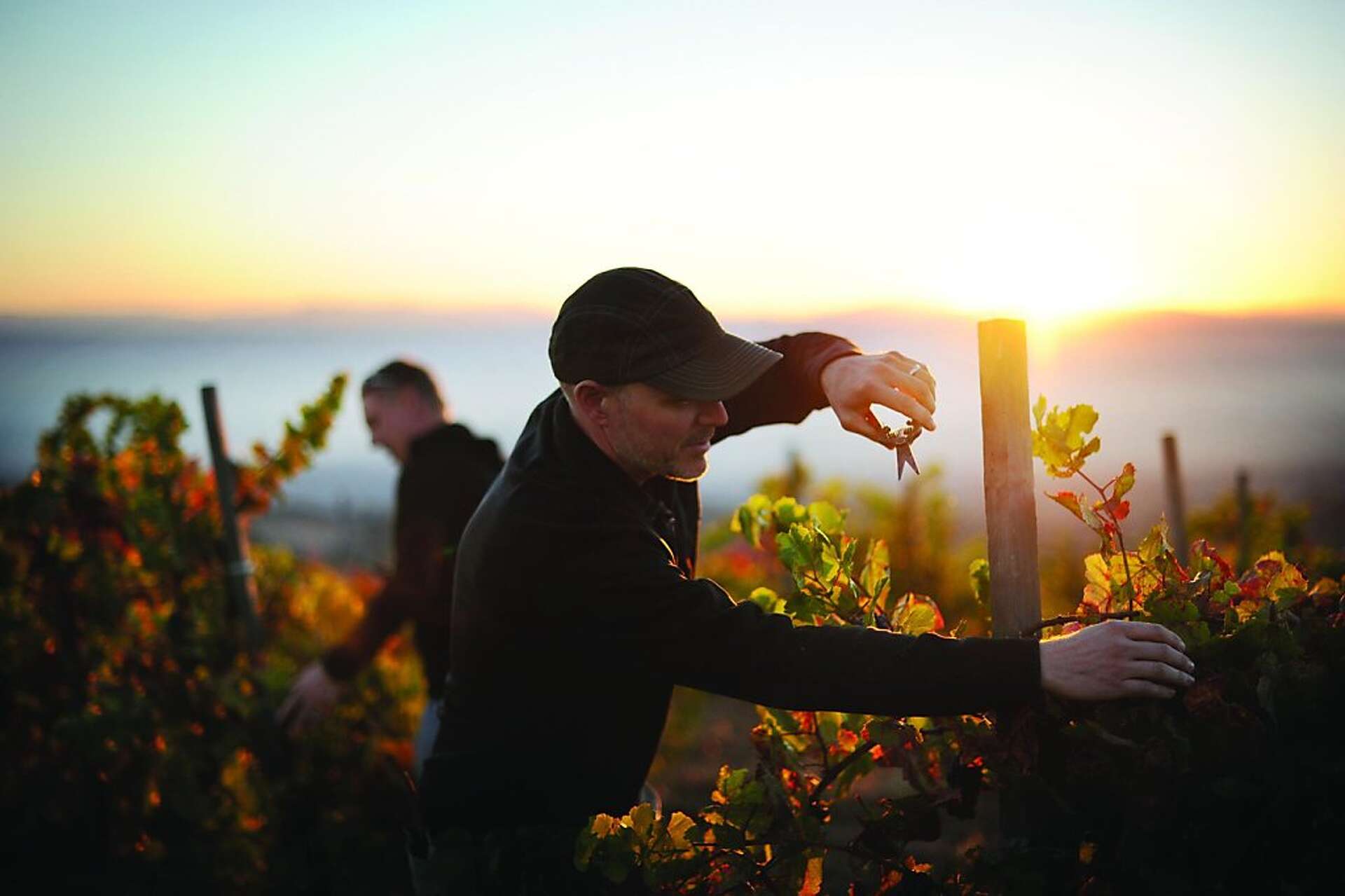 A journey to find California wine's new generation