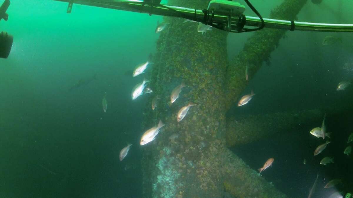 A lure for divers: Fighter jets as artificial reef