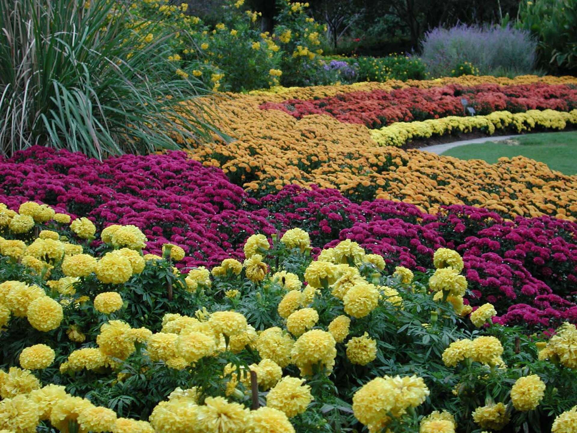 Dallas Arboretum puts on a show of fall colors
