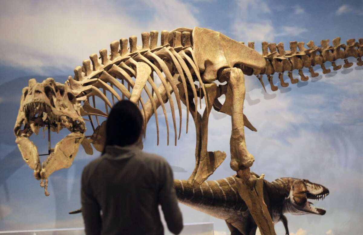 Newest dinosaur discovered is a seriously badass giant raptor
