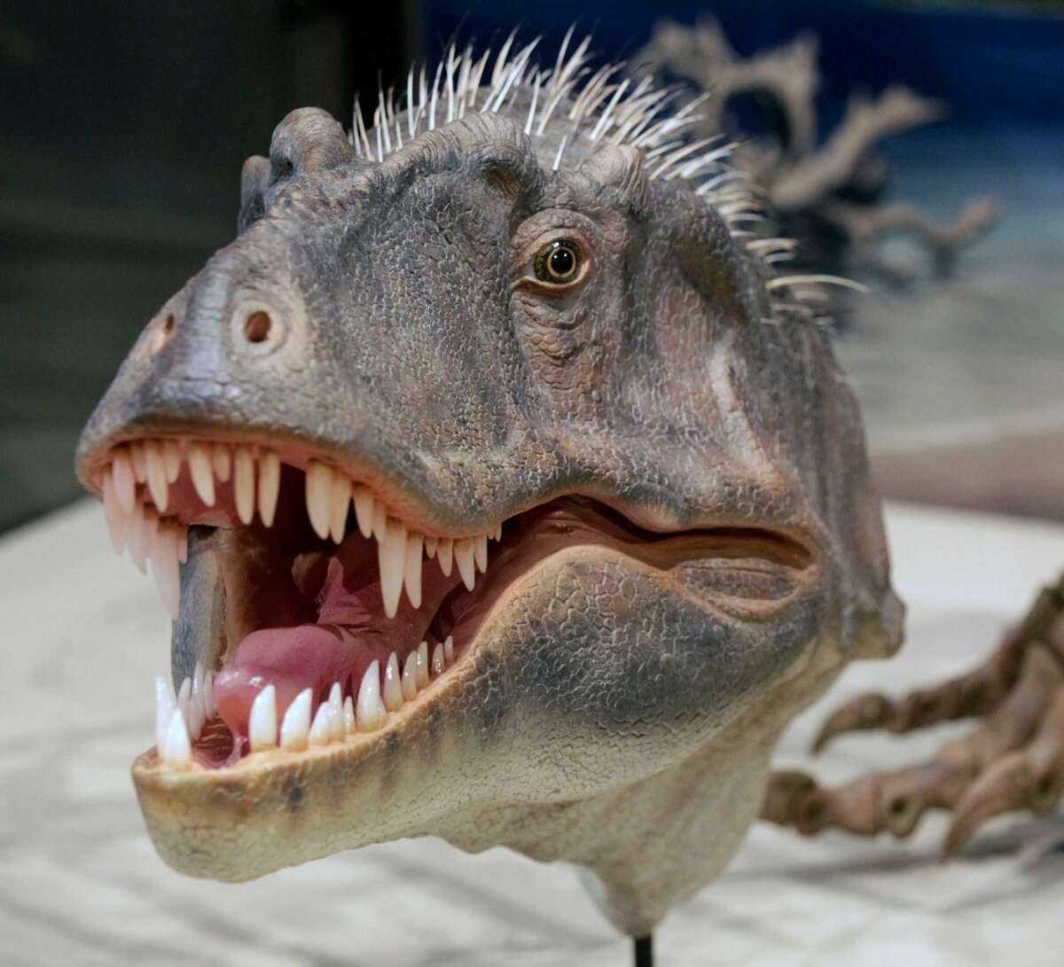 Newest dinosaur discovered is a seriously badass giant raptor